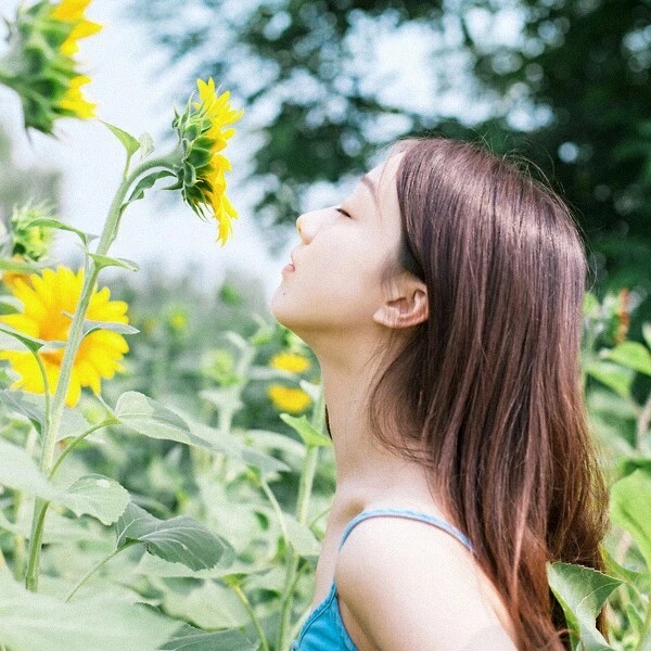 猫田wei山风_ 