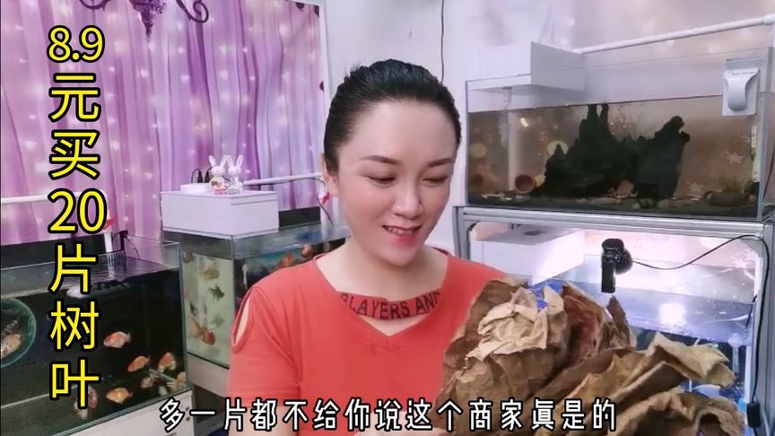 听说榄仁叶可以降酸,花8.9元买了20片,全部放鱼缸会不会太多?