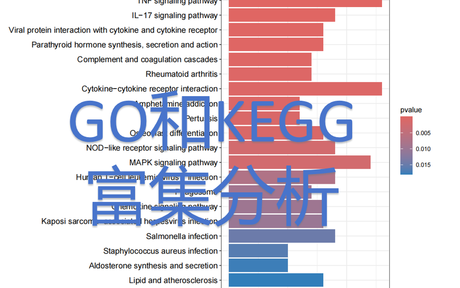 10. GO和KEGG富集分析