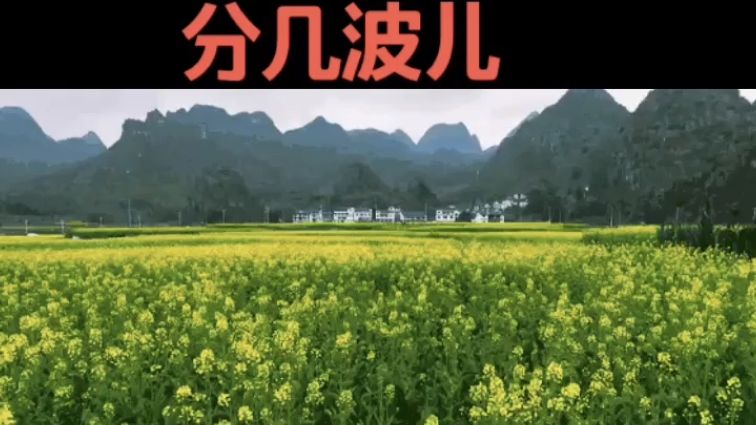 信用卡、网贷:催收,分几波儿
