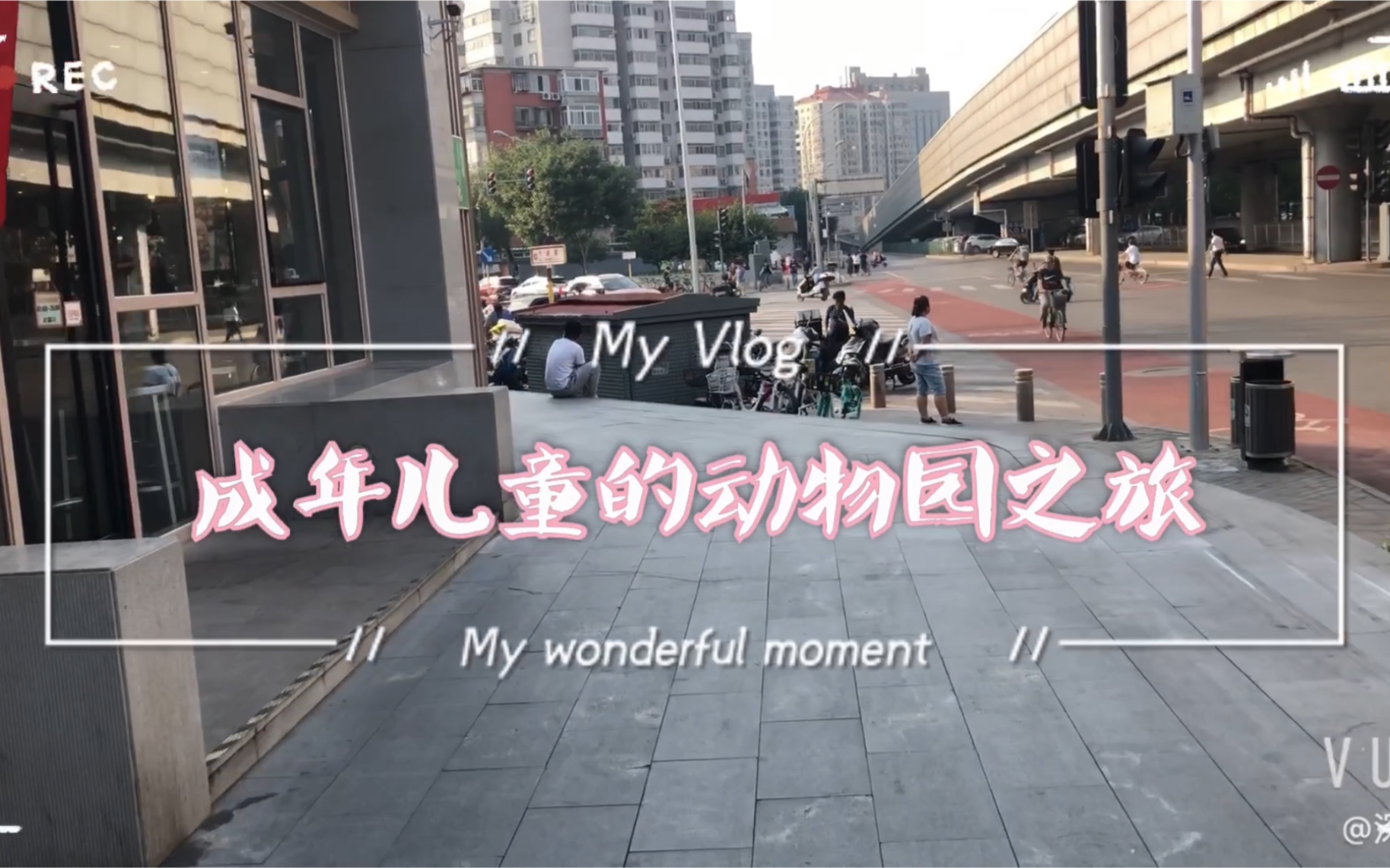 ...【两个成年儿童的动物园探索】|海洋秀表演/两个沙雕的声画模仿/...