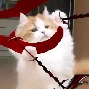 是方糖还是方塘 