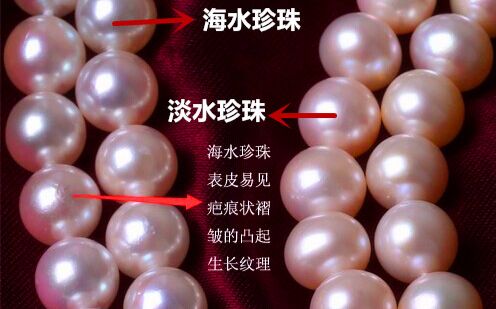   「玩家故事汇」海水与淡水珍珠价差百倍,肉眼就是这样分辨。