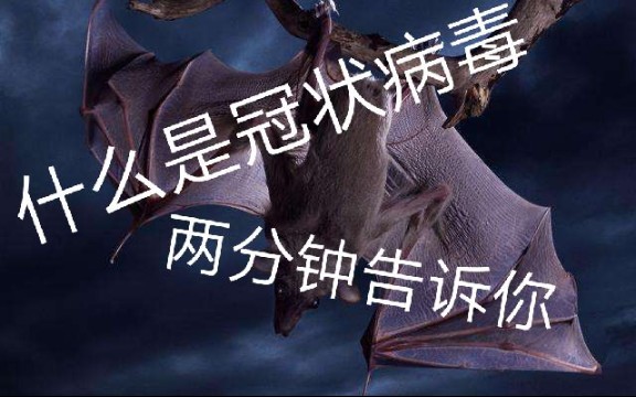 两分钟带你简单了解一下新型冠状病毒