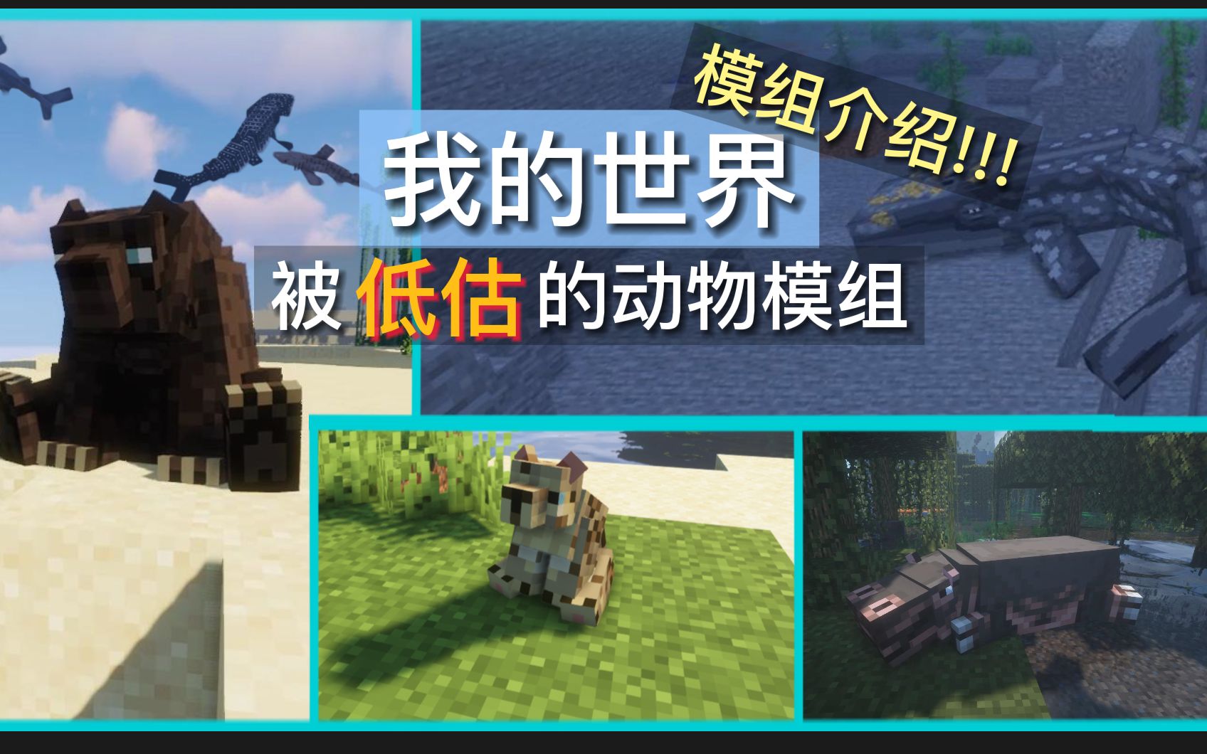 【模组介绍】精致的动画和丰富的生物习性!被低估的动物模组——...