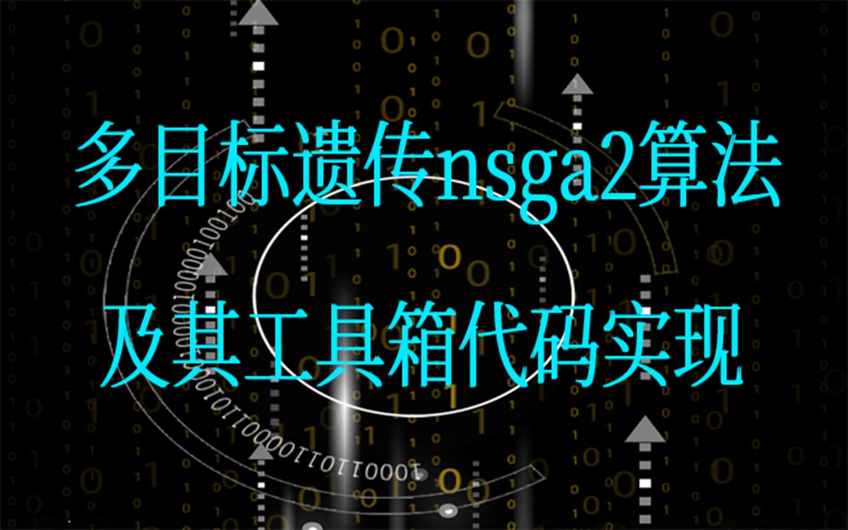 3-30多目标遗传nsga2算法及其工具箱代码实现视频课程