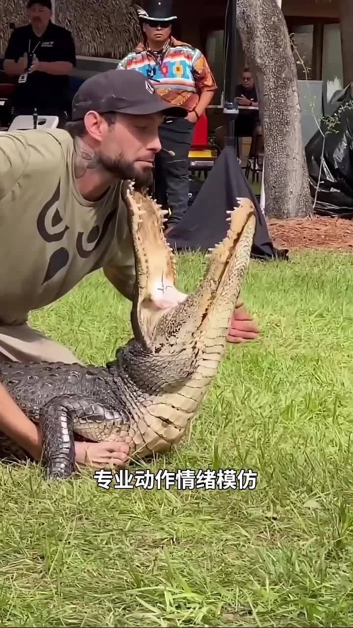 国外动物园节目表演,老外这是在拿生命表演