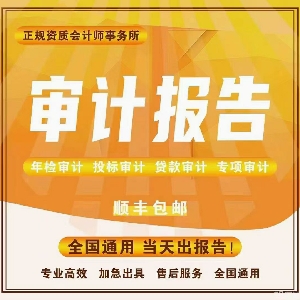 会计师事务所审计报告 
