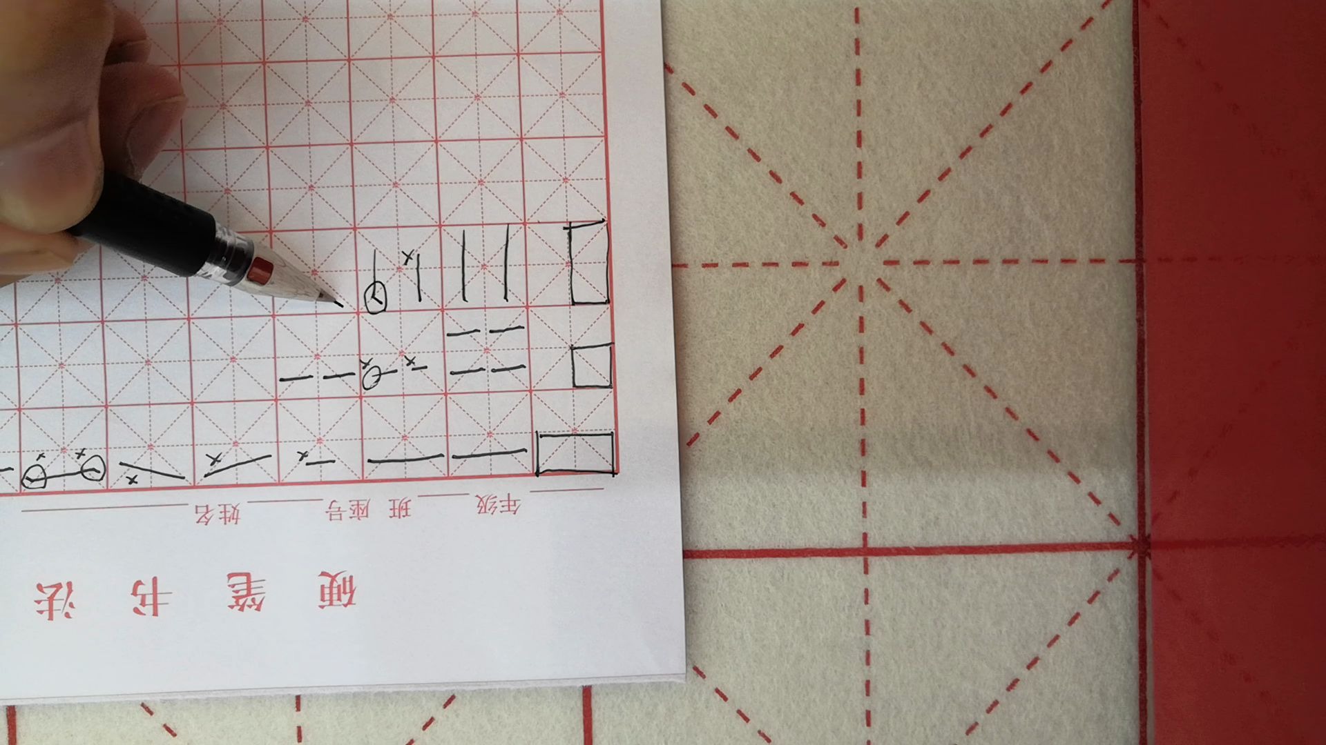 硬笔书法楷书7天0基础入门课(5)硬笔字基本笔画讲解(上)——中国书法...