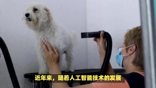 高精度鼻纹识别算法如何为宠物管理带来革新