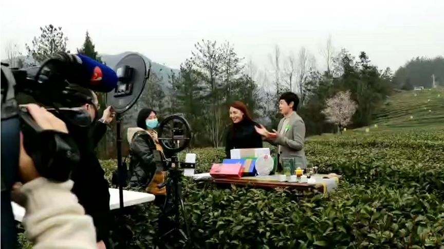我们县长冒雨直播为大家介绍紫阳富硒茶