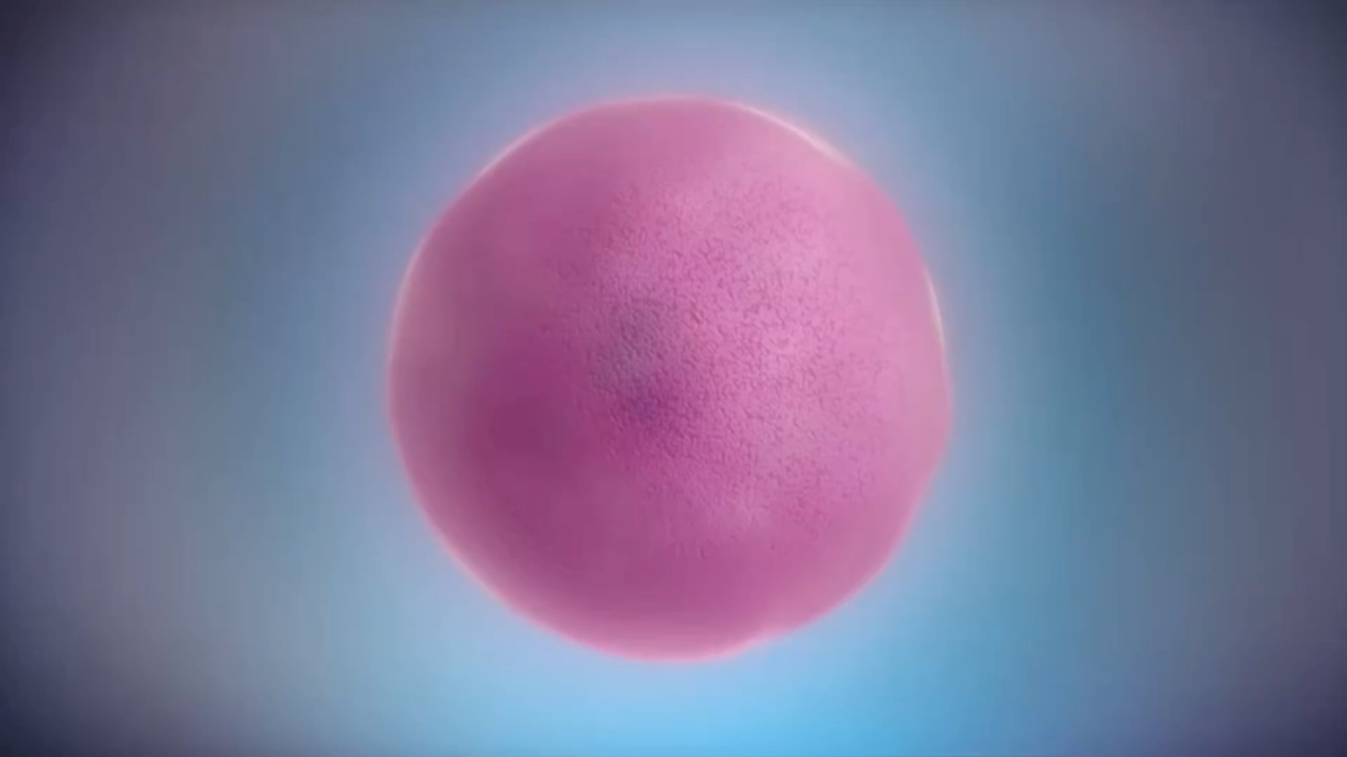 [高中生物动画演示-中文配音版]转录和翻译