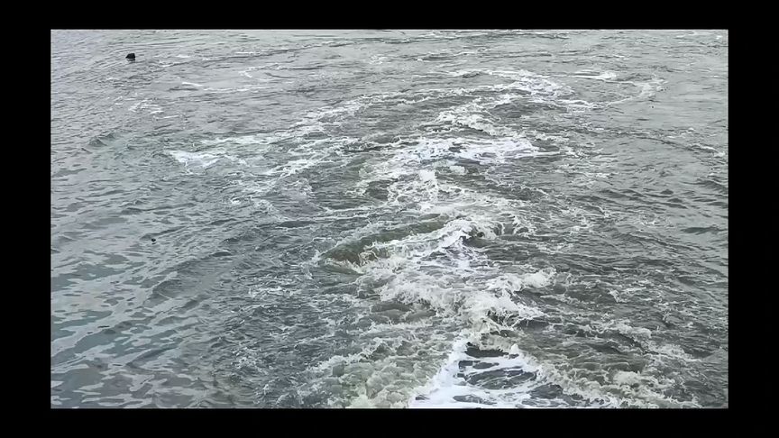 城市排污口排污,水量不是一般的大。