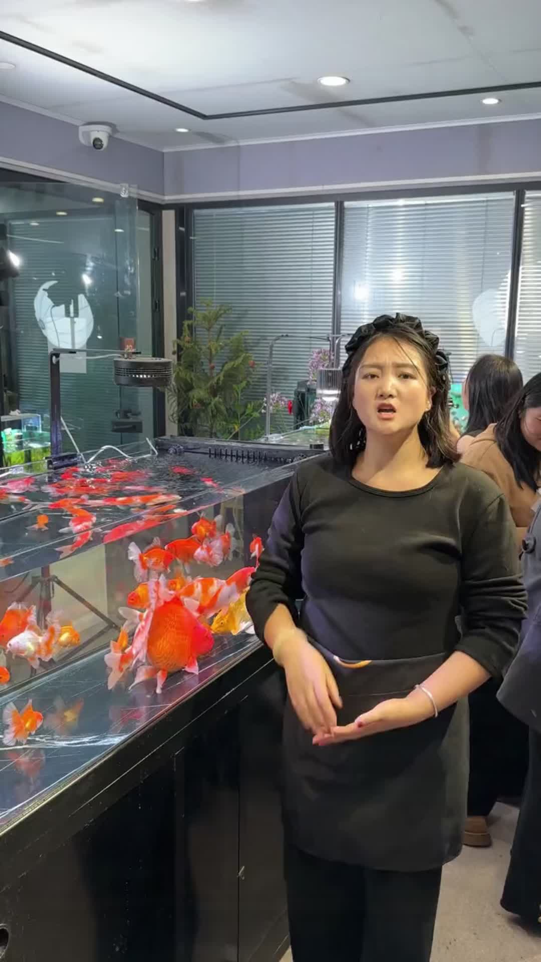 养鱼改善鱼缸水质,快速建立硝化系统。#鱼缸 #硝化细菌 #净化水质 #...