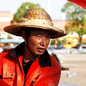 勤劳的打工仔 