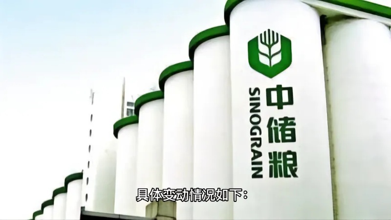 8月19日最新小麦价格信息!