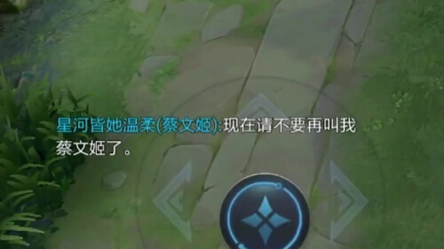 蔡文姬单纯为了游戏胜利,不为别的王者荣耀峡谷艺术王者荣耀语录