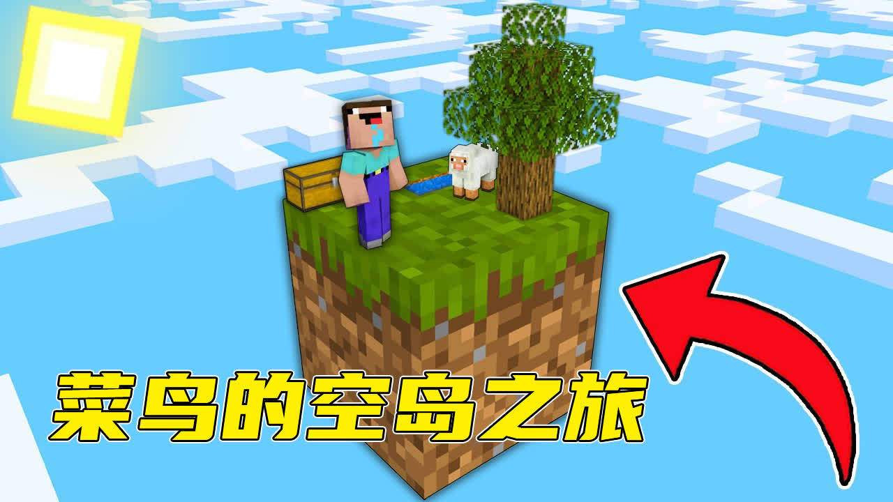 我的世界MC│菜鸟竟然莫名其妙被传送到了空岛!这可怎么办?该怎么.
