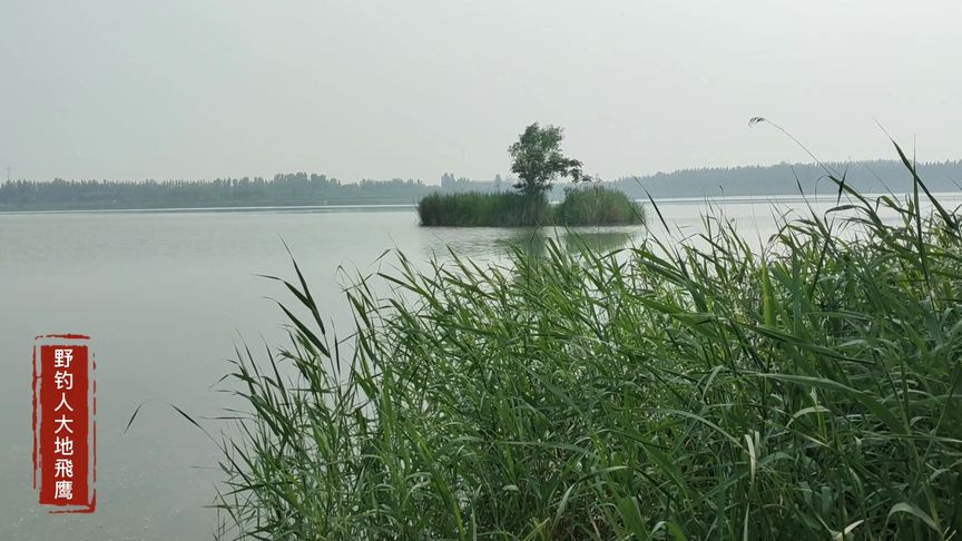 为什么浏览器找不到上传视频目录 ?换浏览器呗!济南龙湖指引
