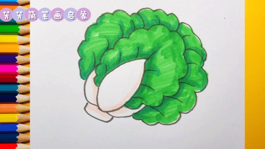 儿童益智简笔画入门,青菜简笔画启蒙,画小白菜就这么简单画