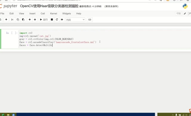 OpenCV使用Haar级联分类器检测猫脸