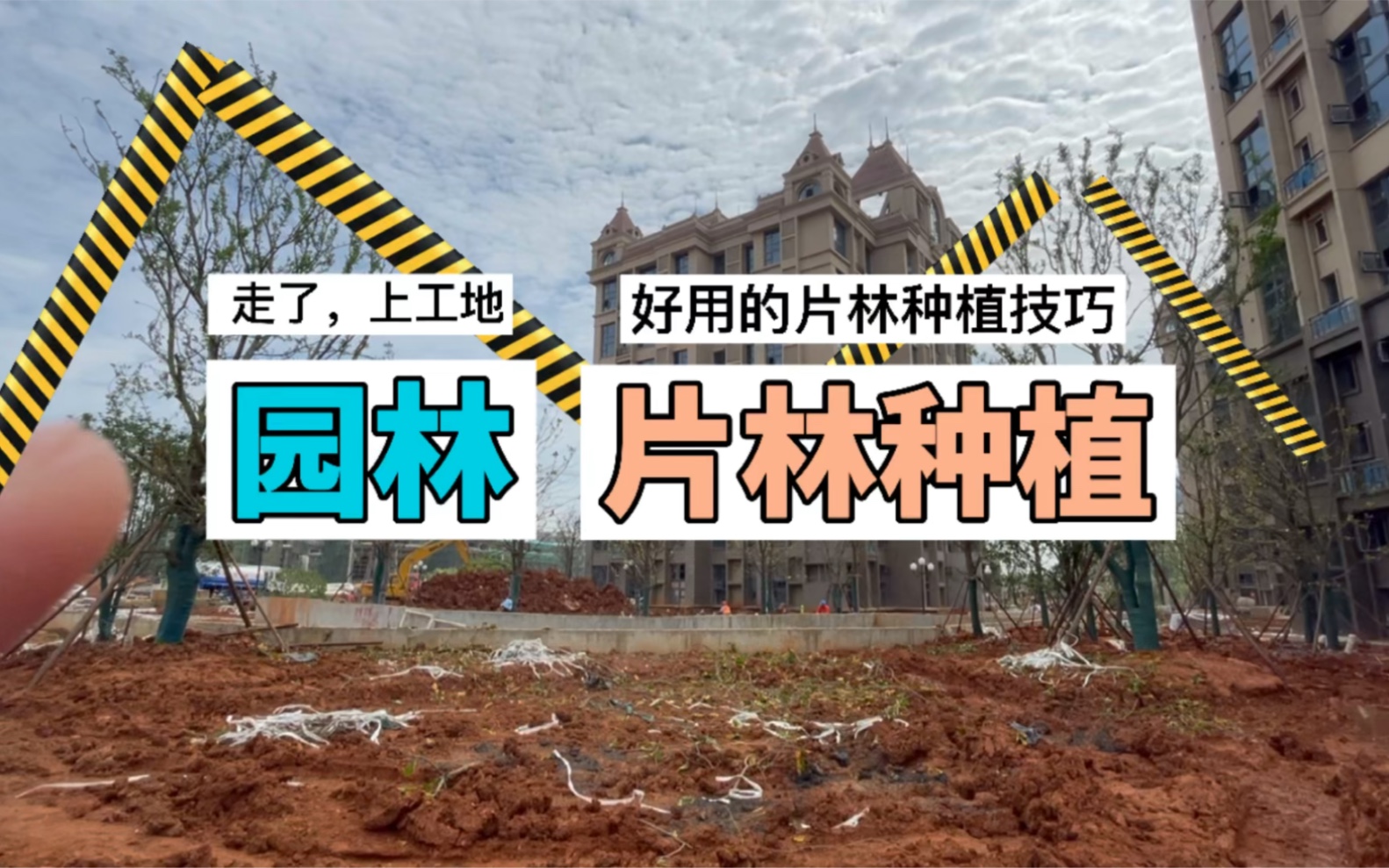 【绿化施工经验分享】园林片林种植(景观设计)