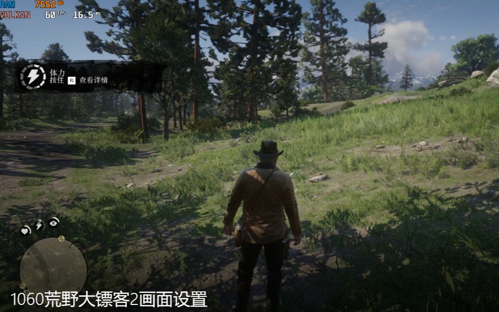 1060荒野大镖客2画面设置(自调)