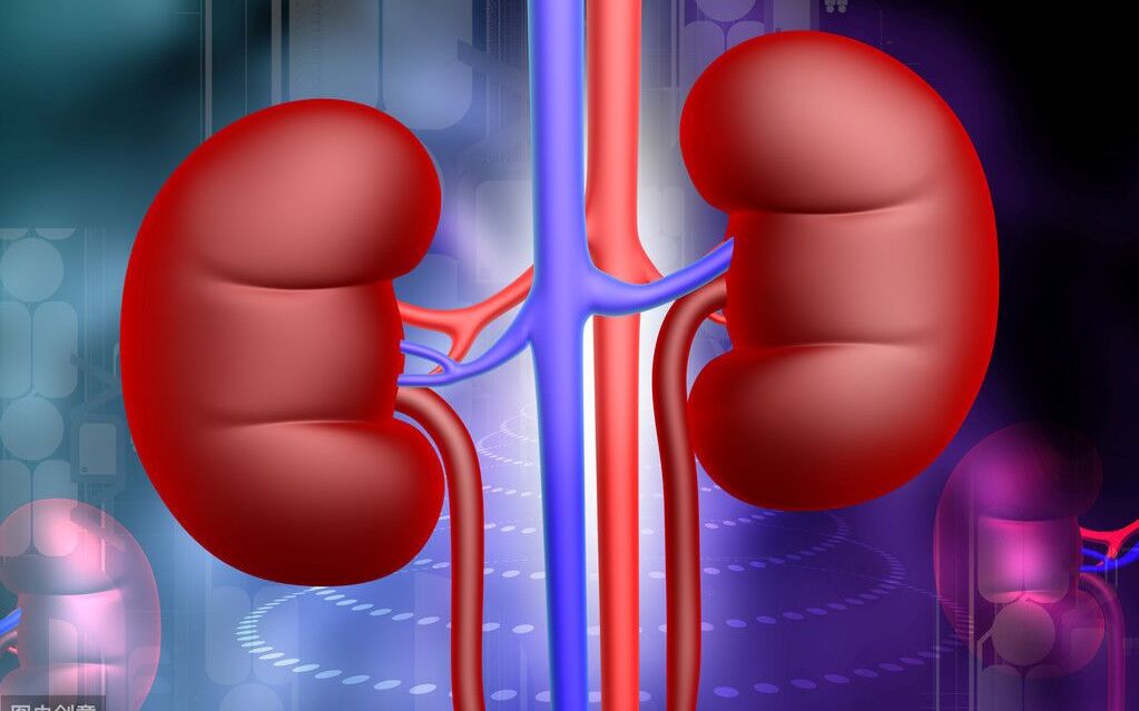 高血压肾衰+多囊肾六虫汤巧治肾病降肌酐,中医支招效果好!