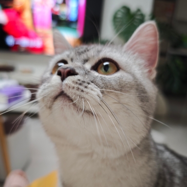 道上给面子叫龙哥 