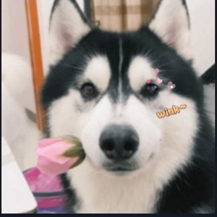 唔啊好 