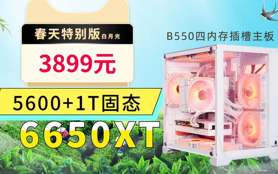 ...元 5600+1T+B550+6650XT+金牌电源 满血满配 这才是正确的打开方式
