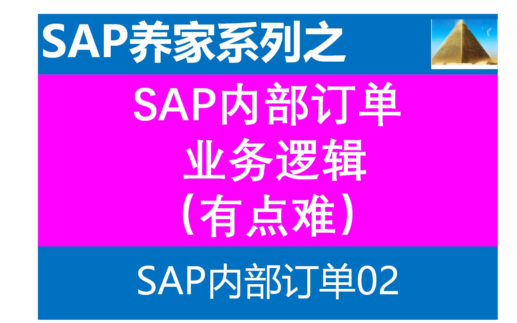 SAP内部订单02 业务逻辑 SAP S4 FICO全套 SAP MM SAP ABAP ...