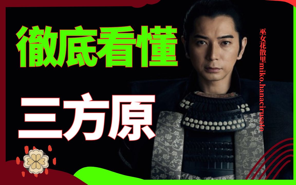 三方原之战始末揭秘!多种史料逐句考察总结真相,大河剧怎么办家康的...
