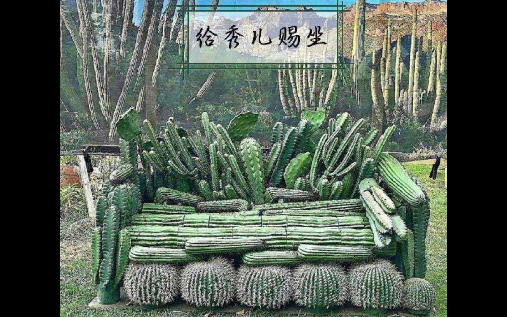 在番茄小说里找到的网图