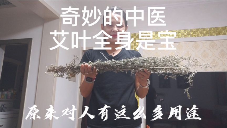 奇妙的中医:艾叶全身是宝,原来对人有这么多用途,值得收藏。