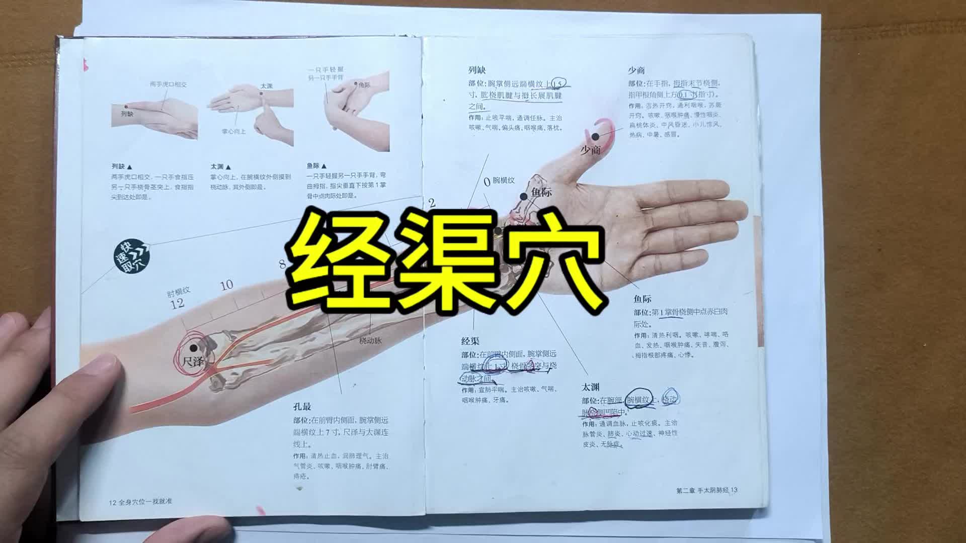 #穴位 #经渠穴的准确位置