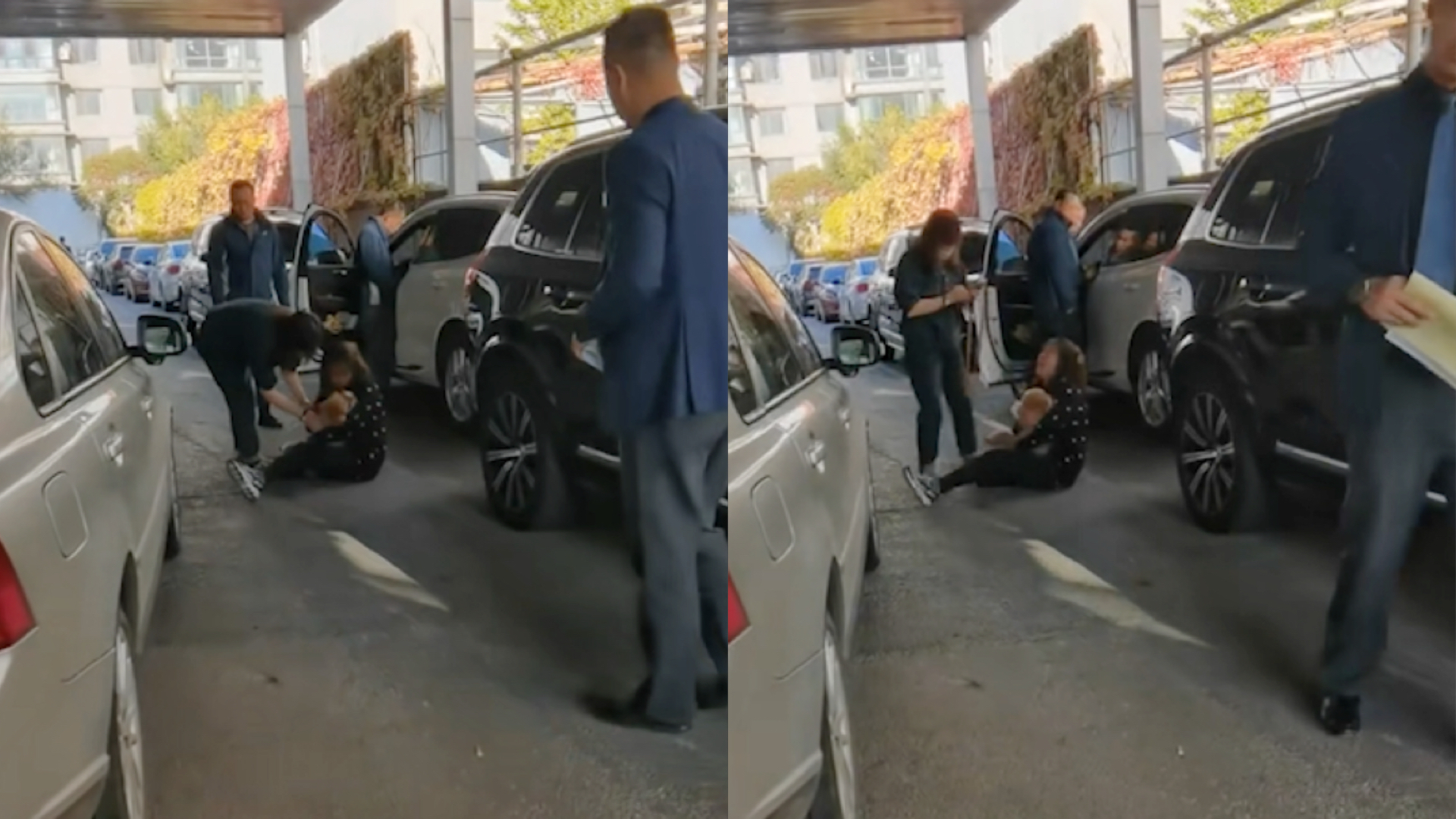 疑未拴绳宠物狗被车碾死,女子瘫坐痛哭还自扇耳光:妈求你了别死