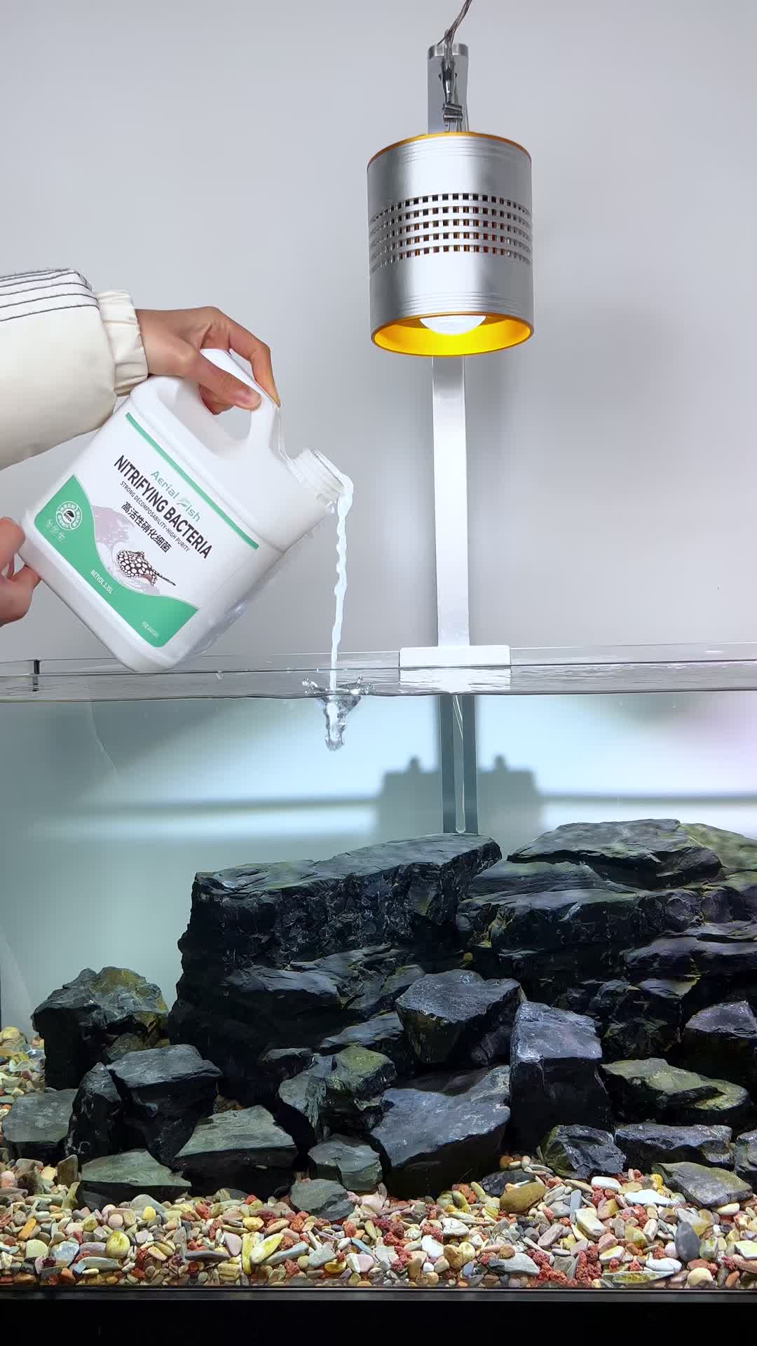 鱼缸添加硝化细菌,可以净化水质,去除腥味,降解有毒物质,养出清澈透亮...