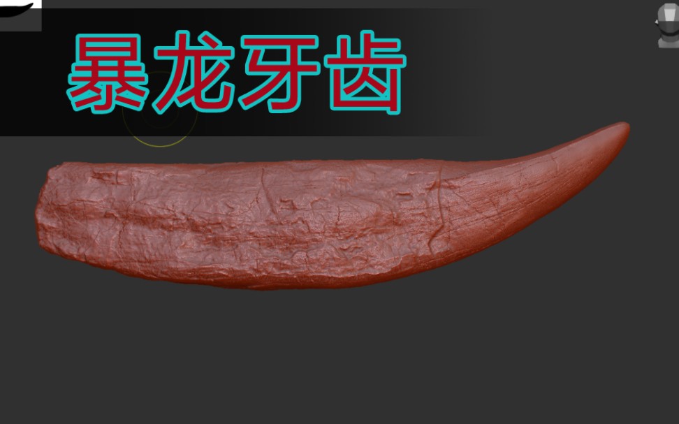 暴龙牙齿 霸王龙牙齿 仿真模型