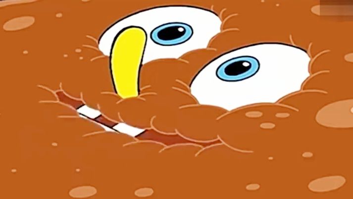 海绵宝宝:那些生活在现实中的角色,海绵宝宝其实不是“海绵”?