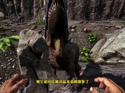 附加生物模组服务器