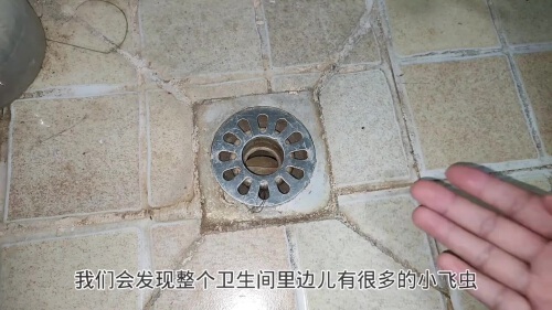 洗发水加牙膏,组合用途惊人,省钱又实用!