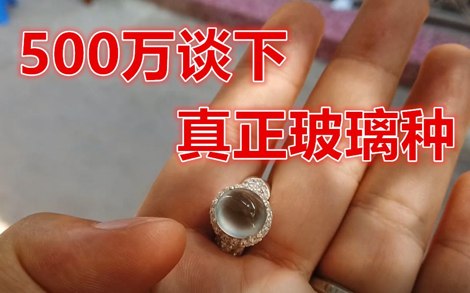 500万谈下真正的玻璃种翡翠,不仅仅是漂亮还会升值,以后翠友可要认准!
