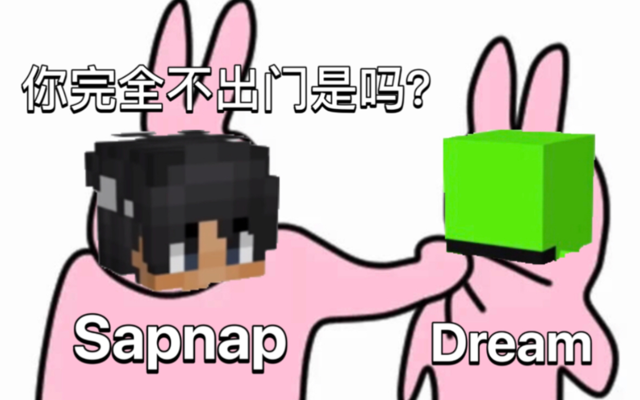 【熟】Sapnap需要出去玩!(ft.Quackity, Punz, Badboyhalo)