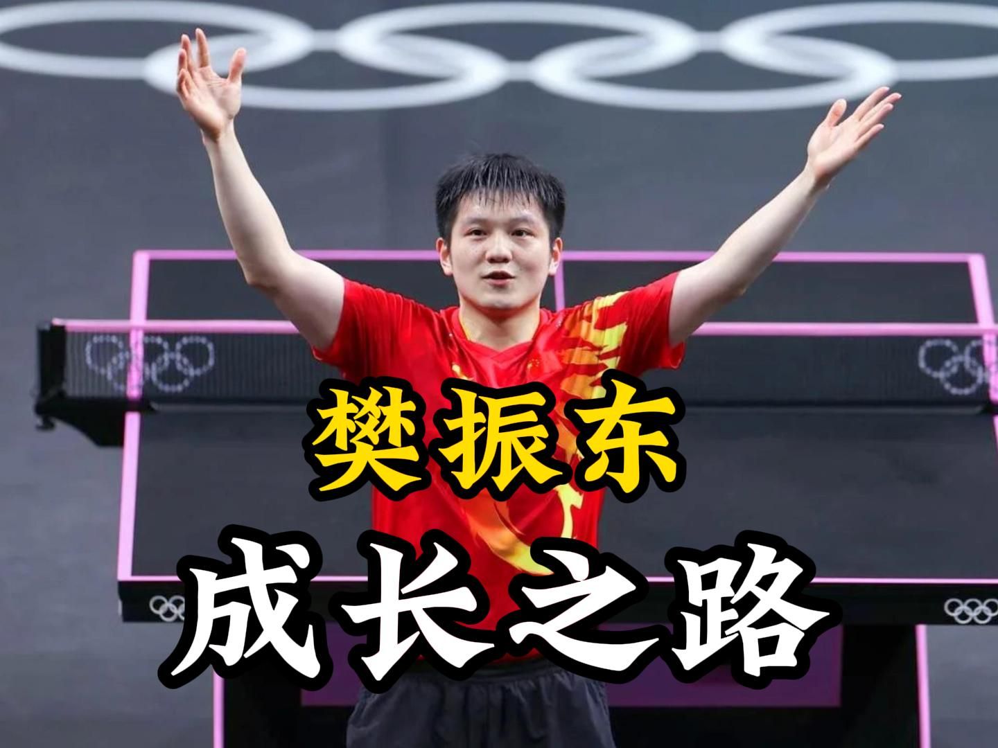 乒乓球冠军樊振东背后的故事