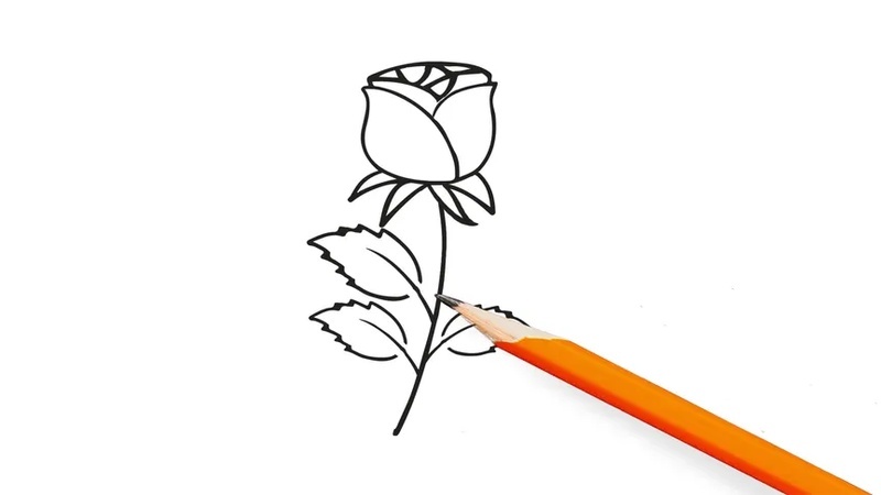 玫瑰花简笔画,七夕来了,朋友们可以照着练习一下,简单学画画!