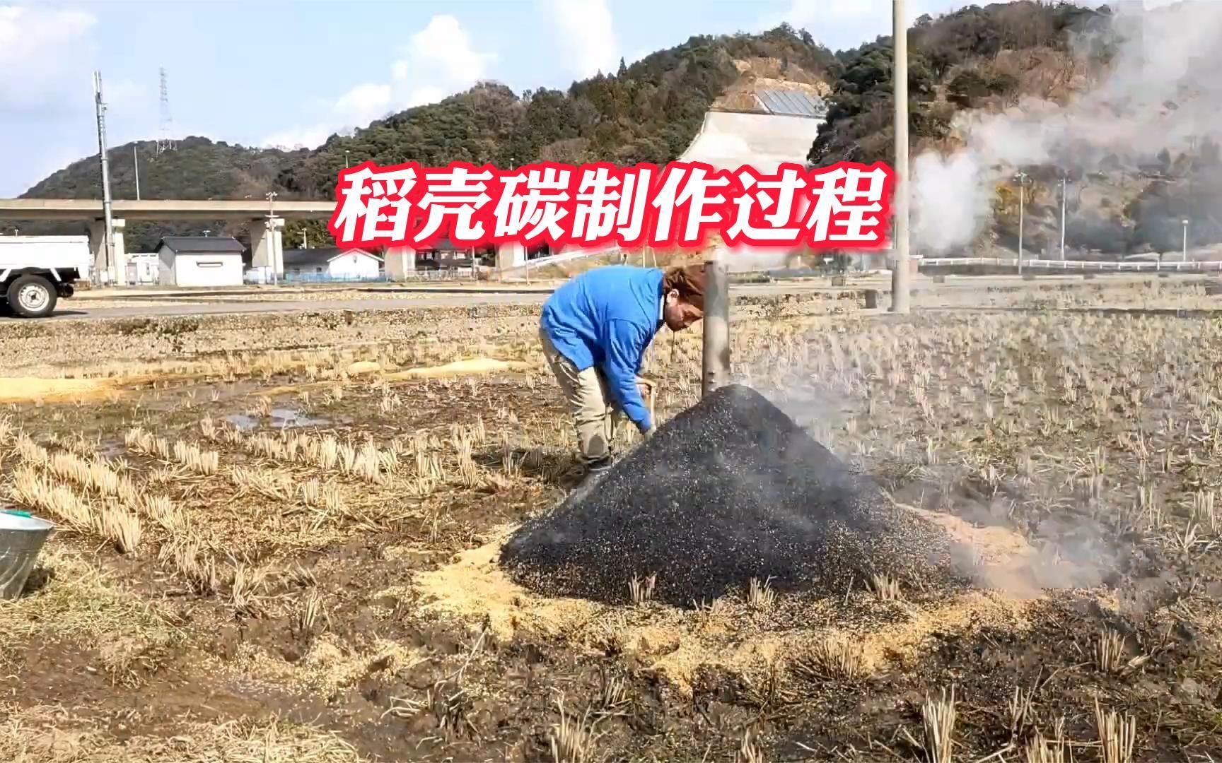 稻谷壳用处很多,用来制作稻壳碳改良土壤,你觉得这种方法如何?