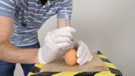 人类的DNA注入鸡蛋内,会发生什么?十天后,奇怪现象发生了!