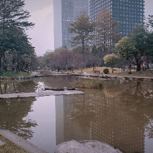 柠檬酱的笔记本 