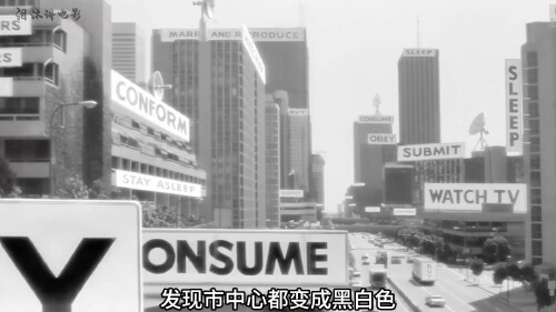 当人类遭遇未知生物,信仰与恐惧交错的极限考验